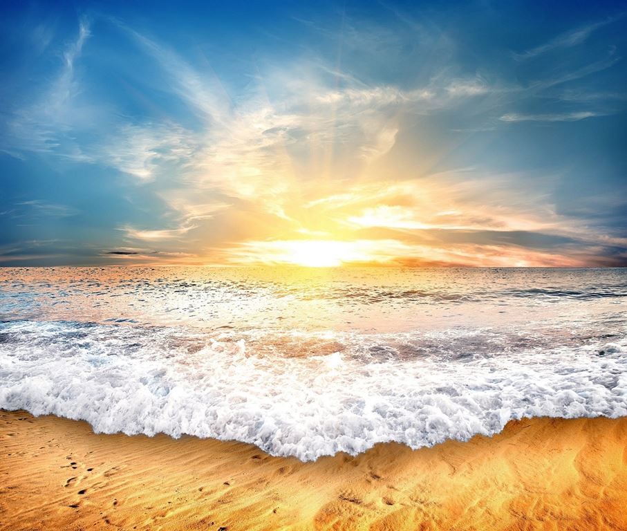 Finance Insights - Summer 2017 - First Point Group - Your Partner for ...